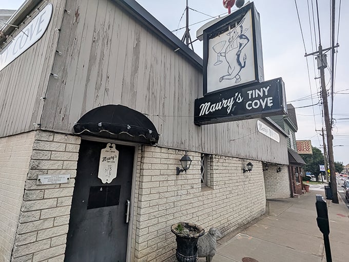Maury's Tiny Cove – where the steaks are legendary and time seems to stand deliciously still.