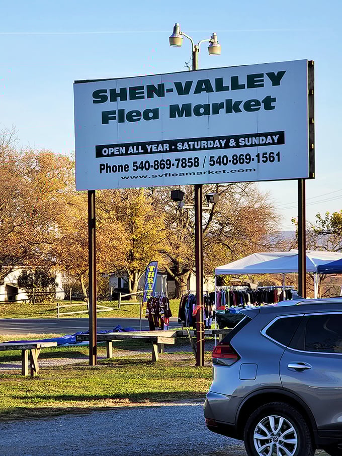 That classic roadside sign promises weekend adventures for those who know where to look for gold.