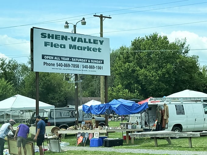 Shen-Valley's outdoor market experience brings together vendors and shoppers under the beautiful Virginia sky.