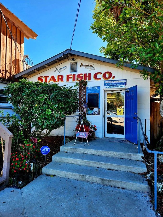 Star Fish Co.'s simple white building with that bright blue door is the seafood equivalent of finding buried treasure.
