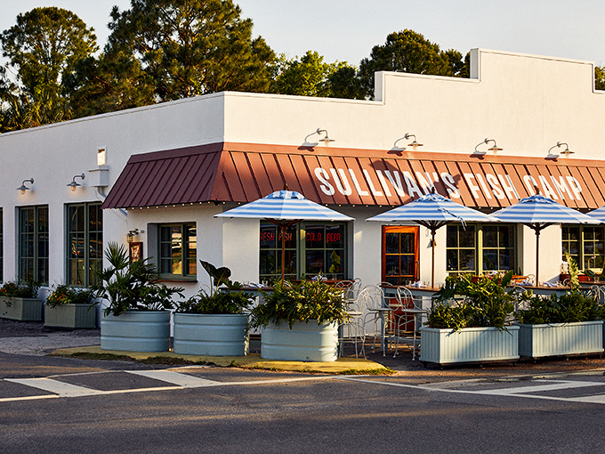 This cozy island hideaway proves that the best seafood often comes in the smallest packages.