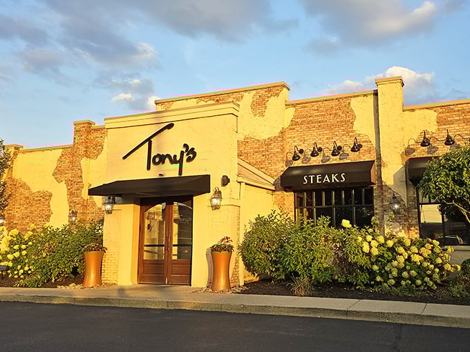 Tony's golden-hour glow isn't just good lighting—it's the universe's way of highlighting where great steaks happen. Sunshine meets premium beef.