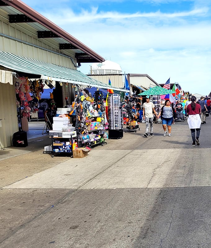 Grand Prairie's Traders Village stretches toward the horizon. Better wear your comfy shoes - you've got some serious shopping ahead!