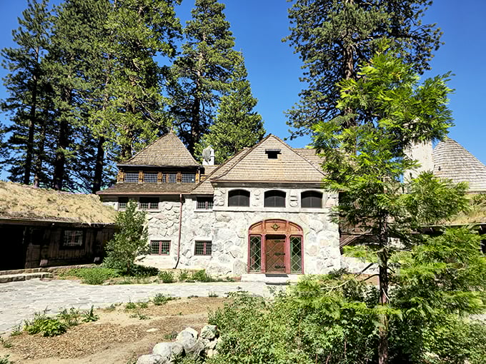 Lake Tahoe's best-kept secret combines Scandinavian design with views that make postcards look like amateur photography attempts.