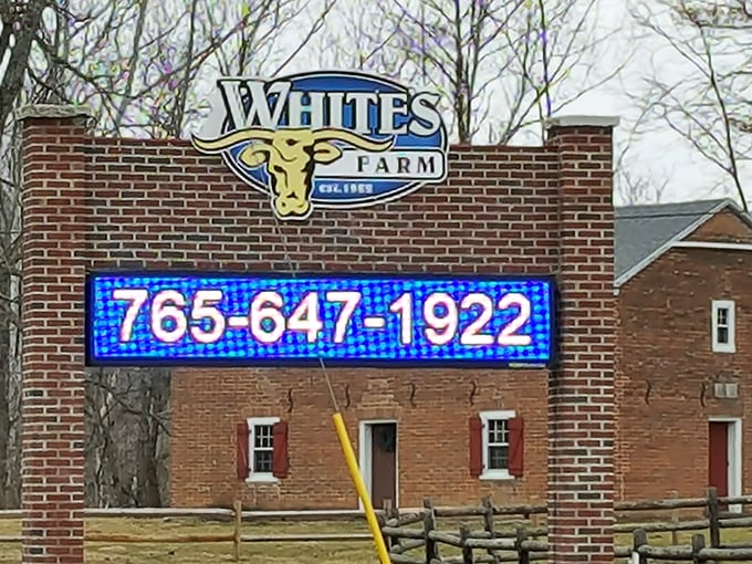 White's Farm's brick sign stands as a landmark for treasure hunters – established long before "vintage" was trendy.