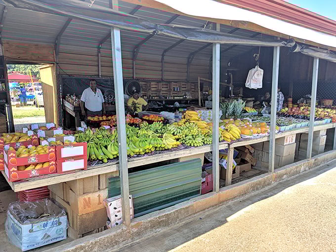 Under rustic shelters, vibrant fruits beckon with color and freshness. Nature’s bounty, proudly displayed, ripe for your next delicious discovery!