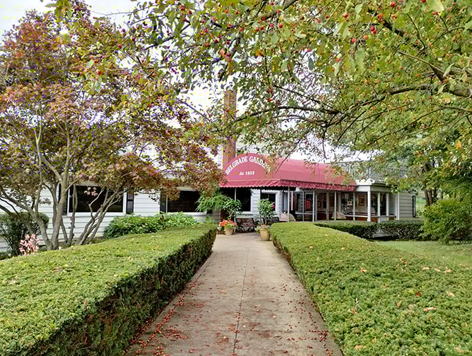 Sometimes the most beautiful dining experiences bloom in the most unexpected neighborhood corners.
