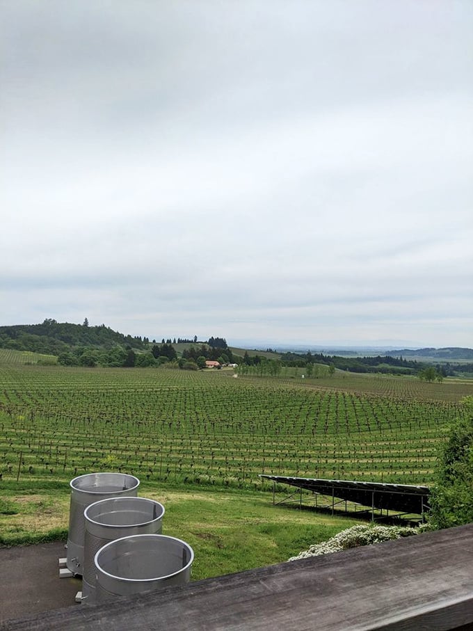 Sweeping vineyard vistas stretch beyond the horizon like Oregon's answer to Tuscany's rolling hills.