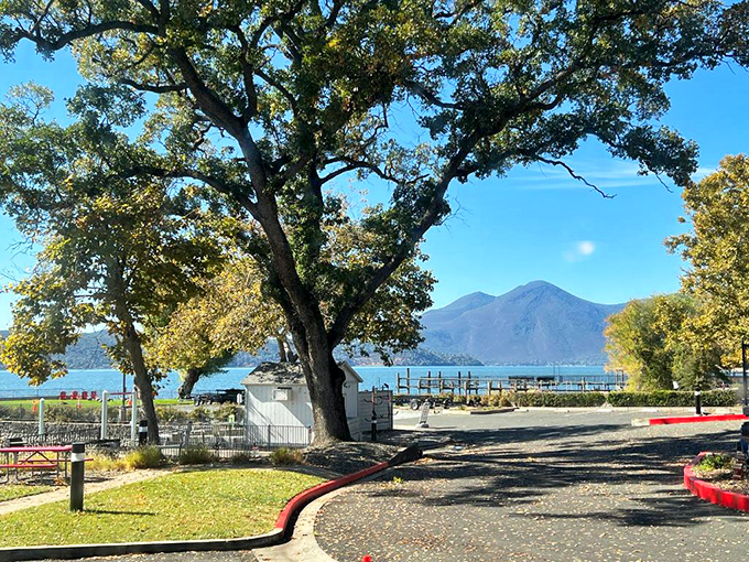 Nature's IMAX experience at Clearlake! That mountain-meets-water panorama is better than anything streaming on Netflix right now.