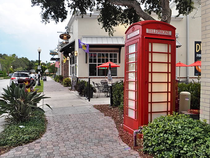 That red telephone booth in Dunedin is either extremely lost or living its best expat life—either way, it's found paradise!
