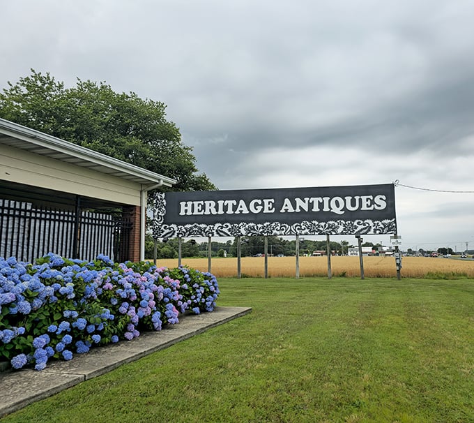 Those hydrangeas aren't the only beautiful things blooming at this impressive antique market.