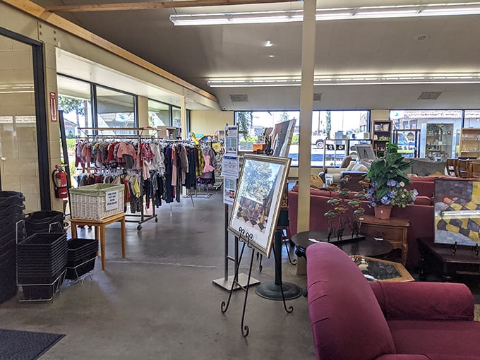 Inside this bright, organized space, every purchase helps local pets while filling your home with affordable treasures.
