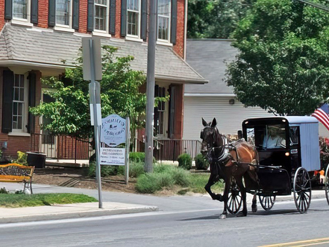 Horse and buggy passing the brick buildings of Intercourse—where transportation remains unhurried and patriotism flies on a small but proud flag.
