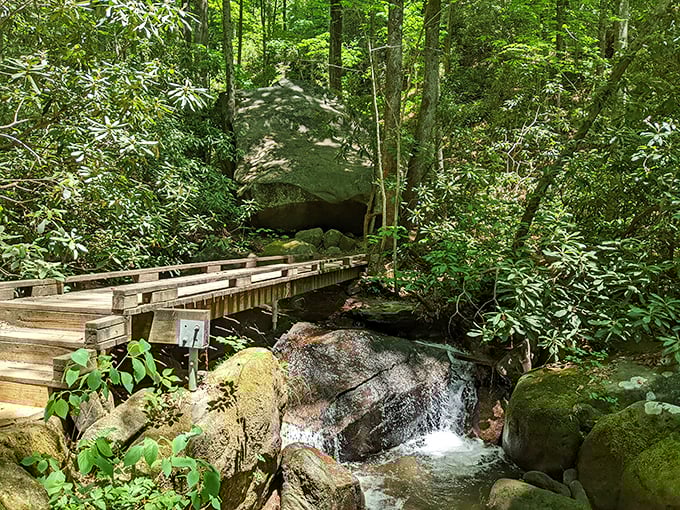 Storybook crossing! This charming wooden bridge invites you into a Tolkien-esque adventure where that massive boulder might just be a sleeping troll.