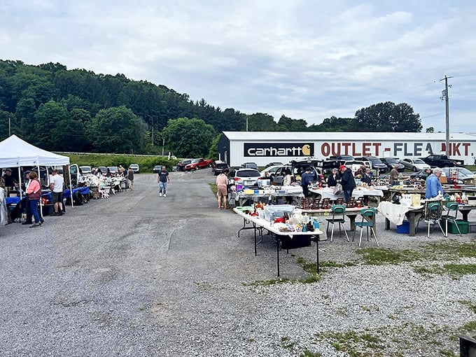 Shopping companions share discoveries at Leighty's, where Pennsylvania's rolling hills create a perfect backdrop for bargain hunting.