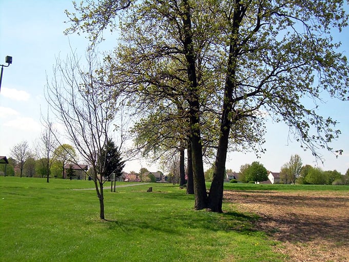 Under spreading oak trees, this peaceful meadow offers the kind of tranquility that makes city stress melt away like butter.