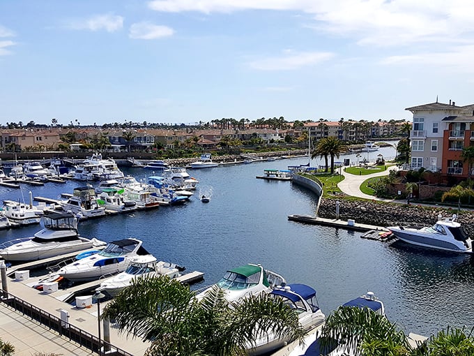 Southern California sunshine makes every seafood dinner feel like a waterfront vacation you'll never forget.