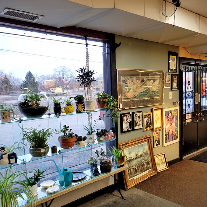 The window display offers just a taste of what's inside—plants and artwork creating an inviting first impression that says "come explore."