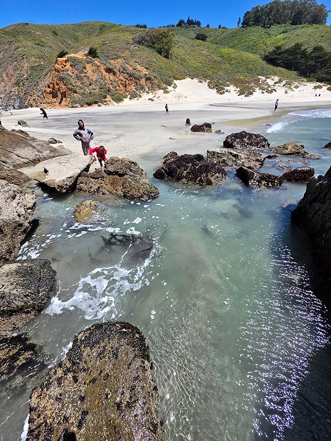 Families discover hidden tide pools and rocky coves where the ocean has carved its own natural playground.