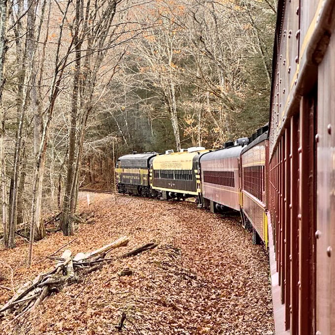 The gentle curve ahead reveals the train's full splendor as it navigates through a carpet of autumn leaves—Mother Nature's version of the red carpet treatment.