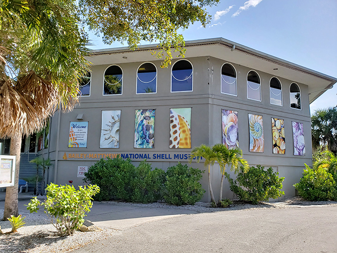 Bailey-Matthews National Shell Museum—where "she sells sea shells" becomes a scientific expedition rather than just a tongue twister.