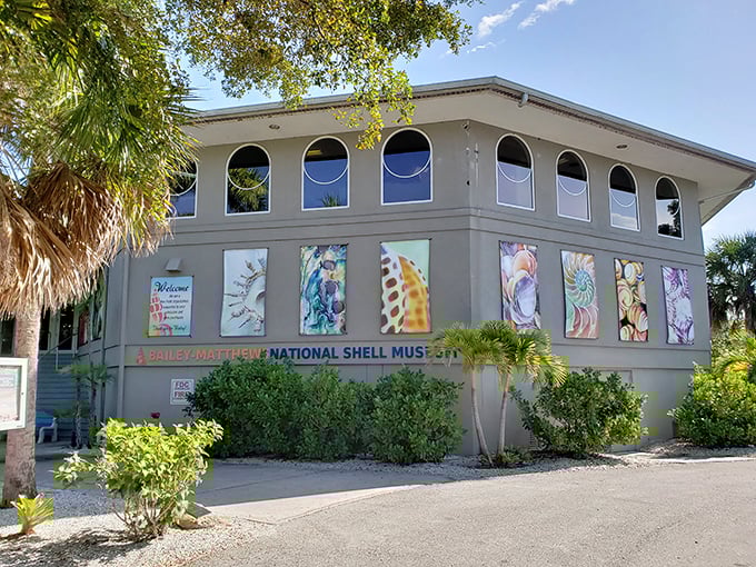 The Bailey-Matthews Shell Museum: where seashells get the star treatment they deserve, displayed with the reverence of diamonds at Tiffany's.