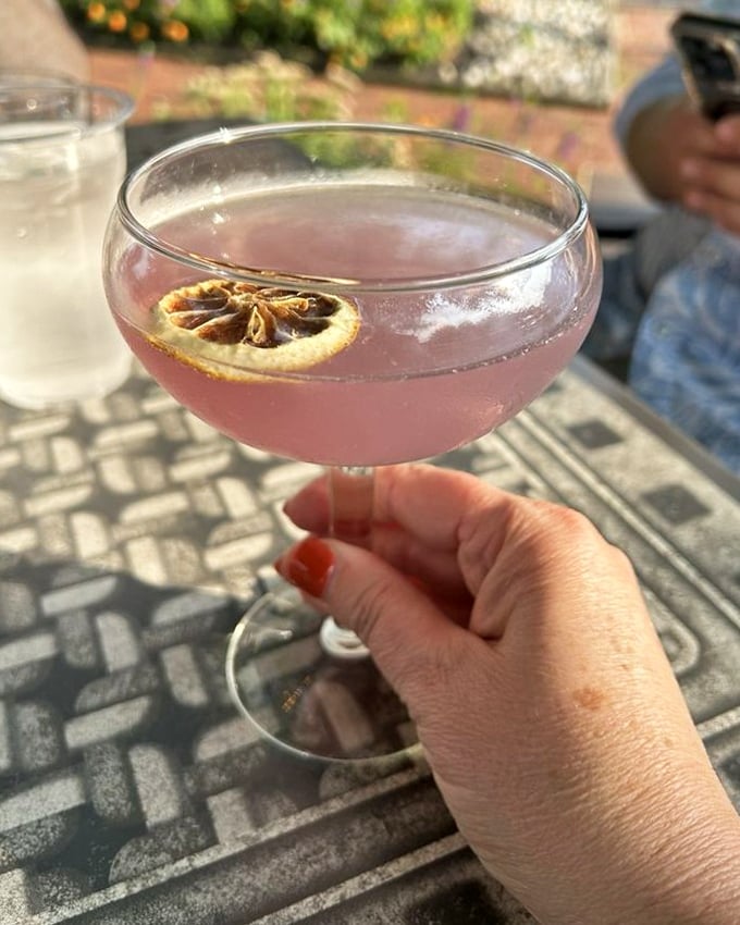 This blush-colored cocktail with its dried citrus garnish isn't just a drink—it's liquid sophistication that makes any day feel special.