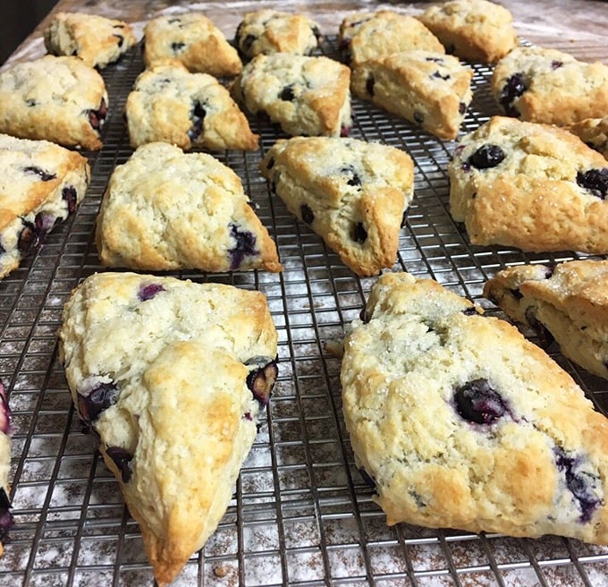 Fresh-baked blueberry scones cooling on the rack – the unsung heroes of the pastry case. These triangular treasures deserve their moment in the spotlight.