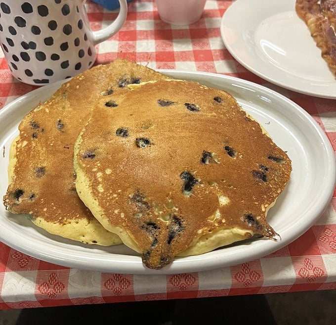 Blueberry pancakes that achieve the impossible balance: substantial enough to satisfy, yet light enough to make you order seconds.