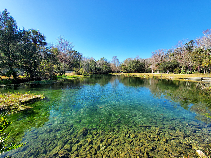Spring-fed waters so clear you can practically count the fish planning their escape routes.