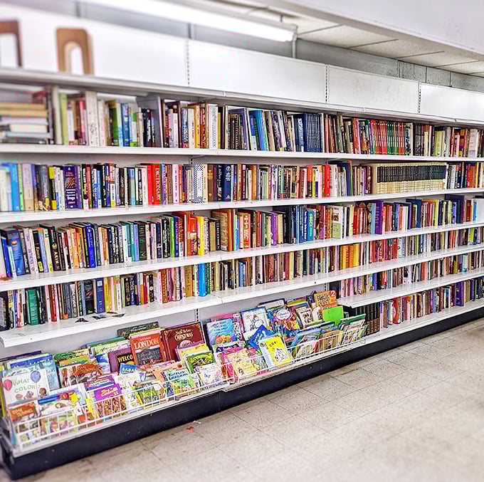 Literary treasures stacked floor to ceiling—a bibliophile's dream where paperback adventures and hardcover wisdom cost less than a fancy coffee.