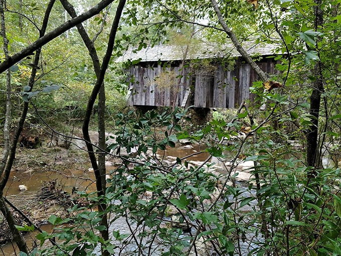 Glimpsed through the forest canopy, this bridge feels like discovering a secret from another century. 