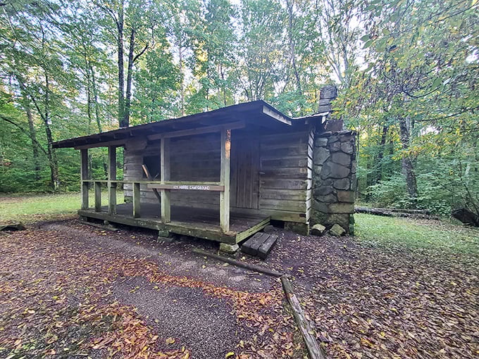 This rustic cabin looks like it was built by pioneers but welcomes modern-day adventurers. Simplicity with a porch view that beats any five-star hotel.