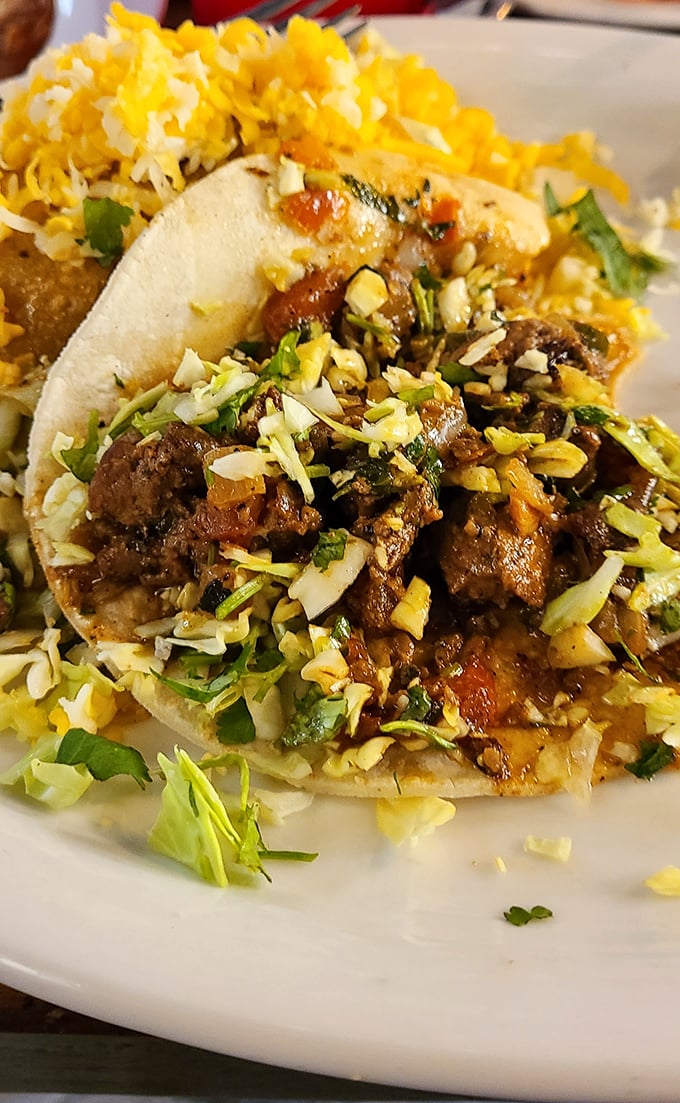 A street taco done right—tender meat, fresh toppings, and a sprinkle of cilantro. Sometimes the simplest pleasures deliver the most profound satisfaction.