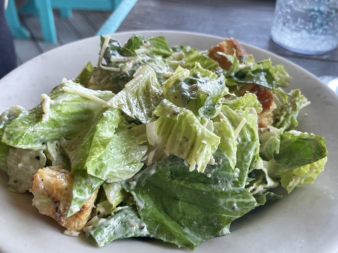 Caesar salad that proves even the classics deserve respect, with crisp romaine and house-made dressing that tastes genuinely crafted.