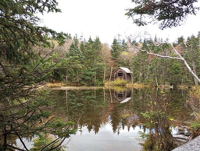 This tranquil pond reflects more than trees – it mirrors the peace of mind that comes with affordable living.