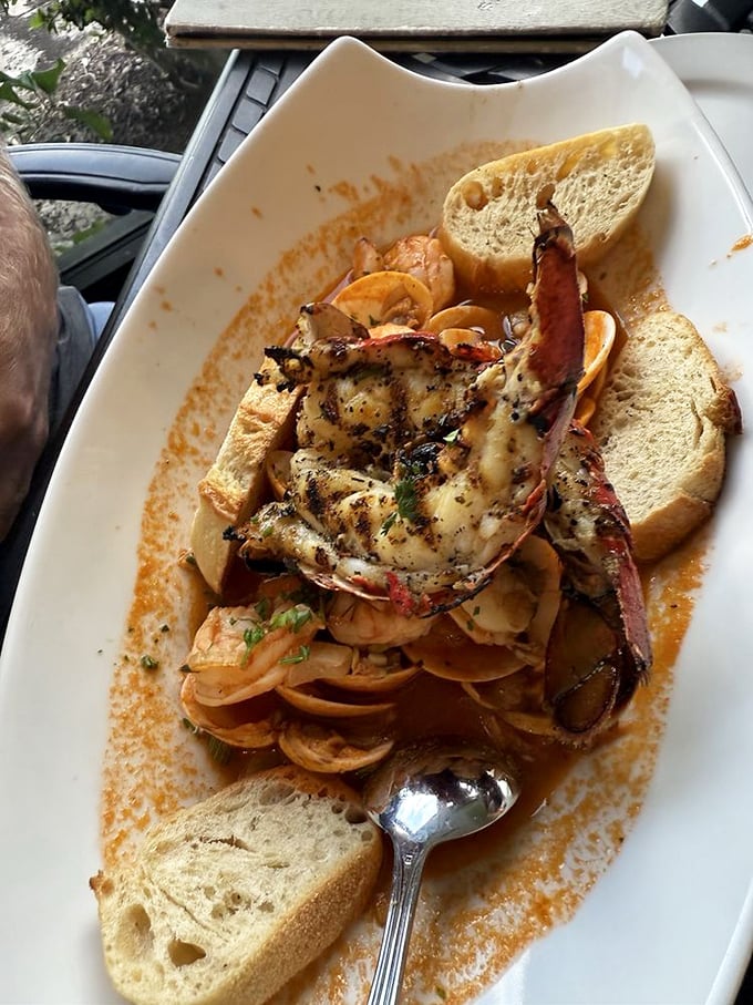 The cioppino arrives like a seafood treasure chest—lobster claw standing proud among shrimp and shellfish in a broth that's spent hours collecting the ocean's best flavors.