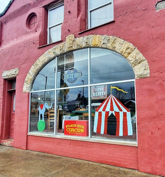 The Circus Dojo window display – where small-town nostalgia meets big-top dreams in a storefront that would make P.T. Barnum proud.