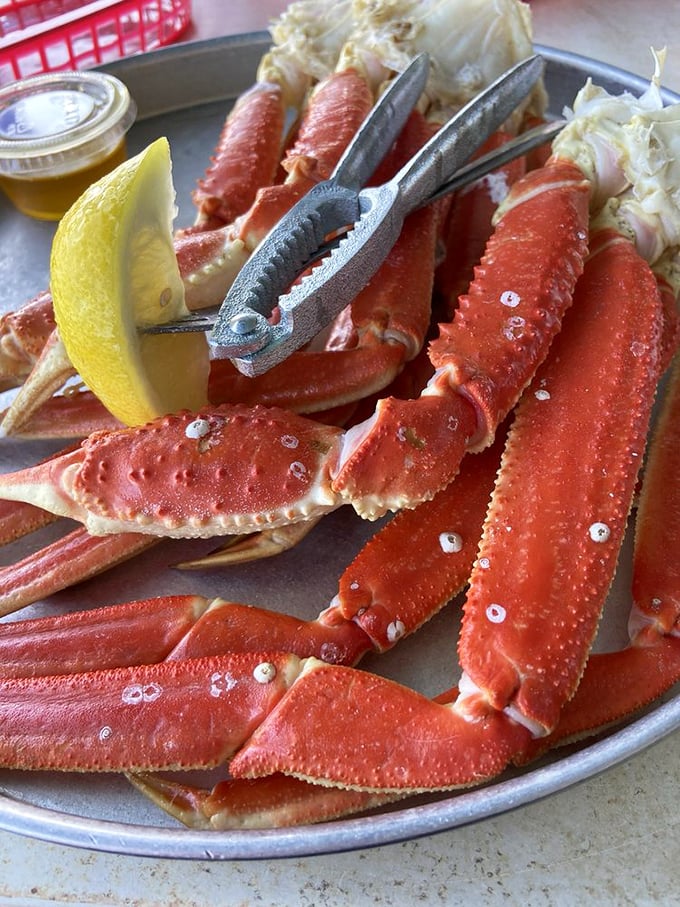 Crab legs so impressive they come with their own tools – like a delicious puzzle that rewards you with sweet meat.