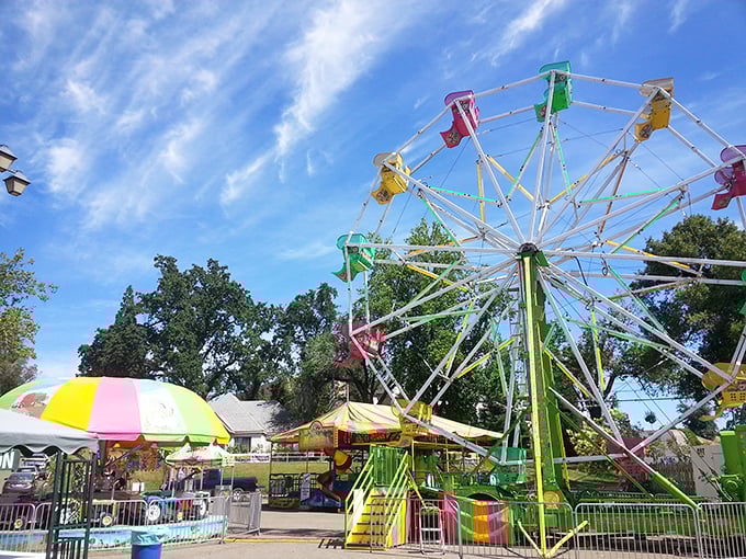 The county fair brings childhood joy to visitors of all ages. This Ferris wheel has probably witnessed more first kisses than a high school dance chaperone.