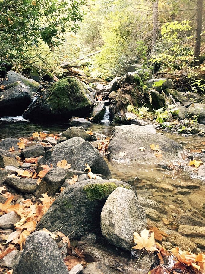 Fall brings a special magic as autumn leaves create a golden frame. The waterfall performs against a backdrop of seasonal color.