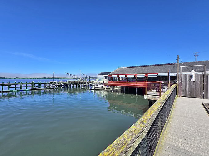 This isn't just another seafood shack – it's where the morning's catch meets lunchtime hunger in a dance as old as coastal living itself.