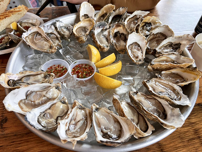 These glistening oysters on the half shell are the ocean's perfect appetizer—briny, sweet, and needing nothing more than a squeeze of lemon and maybe a drop of mignonette.