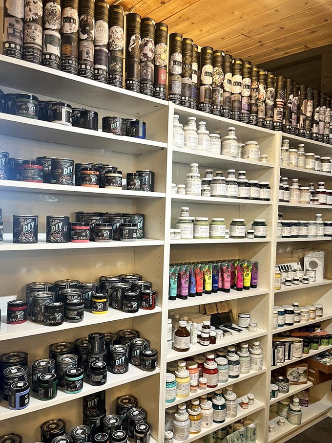 A painter's paradise of DIY potential—these aren't just paints, they're time machines waiting to transform forgotten treasures.