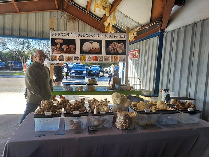 Mushroom magic! Fungi varieties that would make a French chef weep with joy, displayed with pride by knowledgeable vendors.