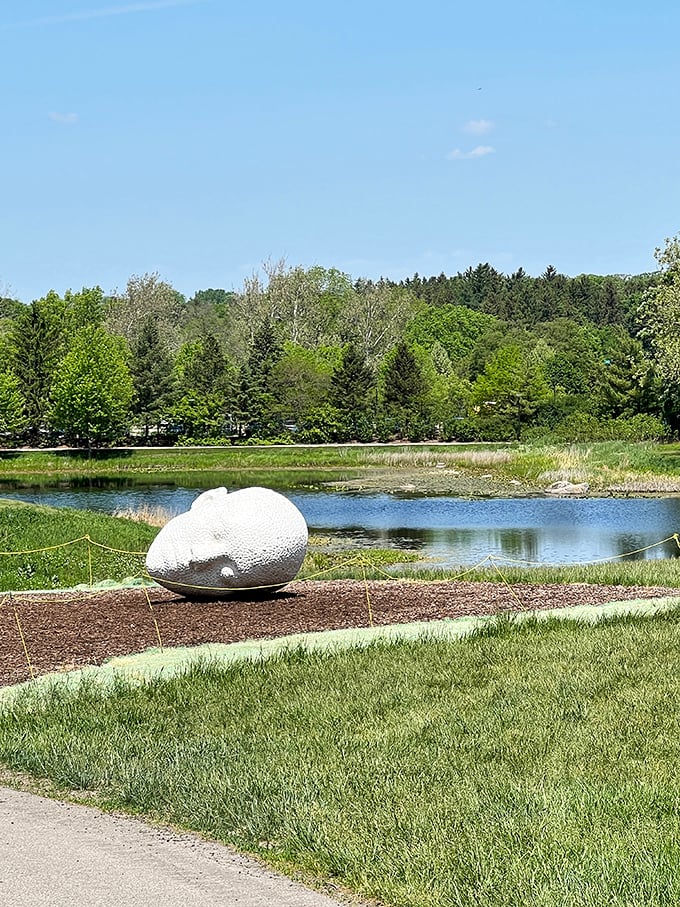 Nature's teardrop or cosmic egg? This smooth sculpture beside still waters invites contemplation and at least seven different philosophical interpretations.