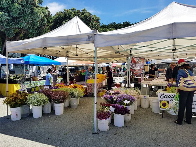 Flower power: The Half Moon Bay Farmers Market proves that sometimes the most vibrant local color isn't found in art galleries but in simple buckets of fresh-cut blooms.