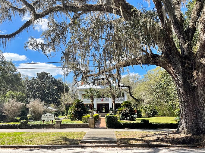 The Herlong Mansion emerges from behind Spanish moss like a Southern belle making her grand entrance at a garden party.