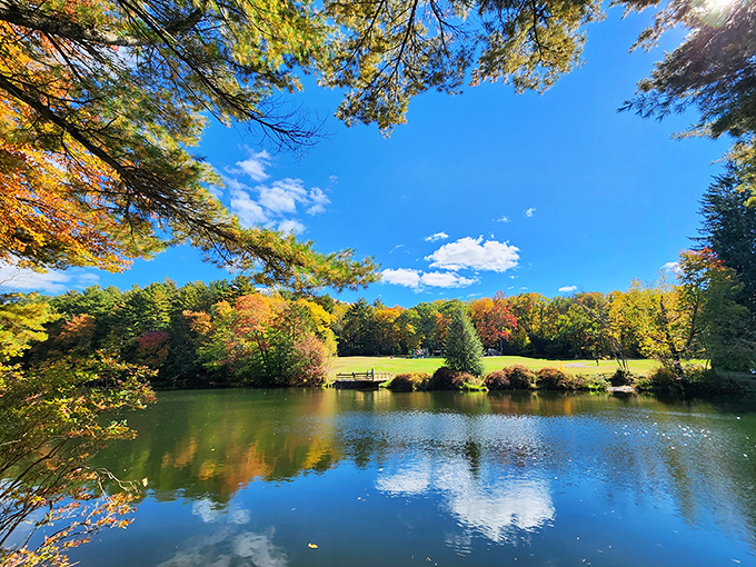 Fall foliage frames the lake in a kaleidoscope of amber and gold. Even your smartphone camera suddenly thinks it's a professional photographer here.
