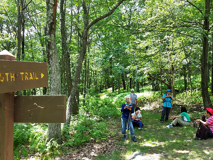 The South Trail gathering spot—where strangers become friends united by their mutual appreciation for oxygen-rich mountain air.